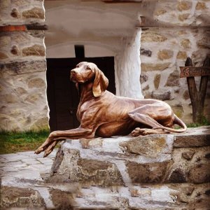 Bronze Weimaraner Statue For Sale - SevenTreeSculpture