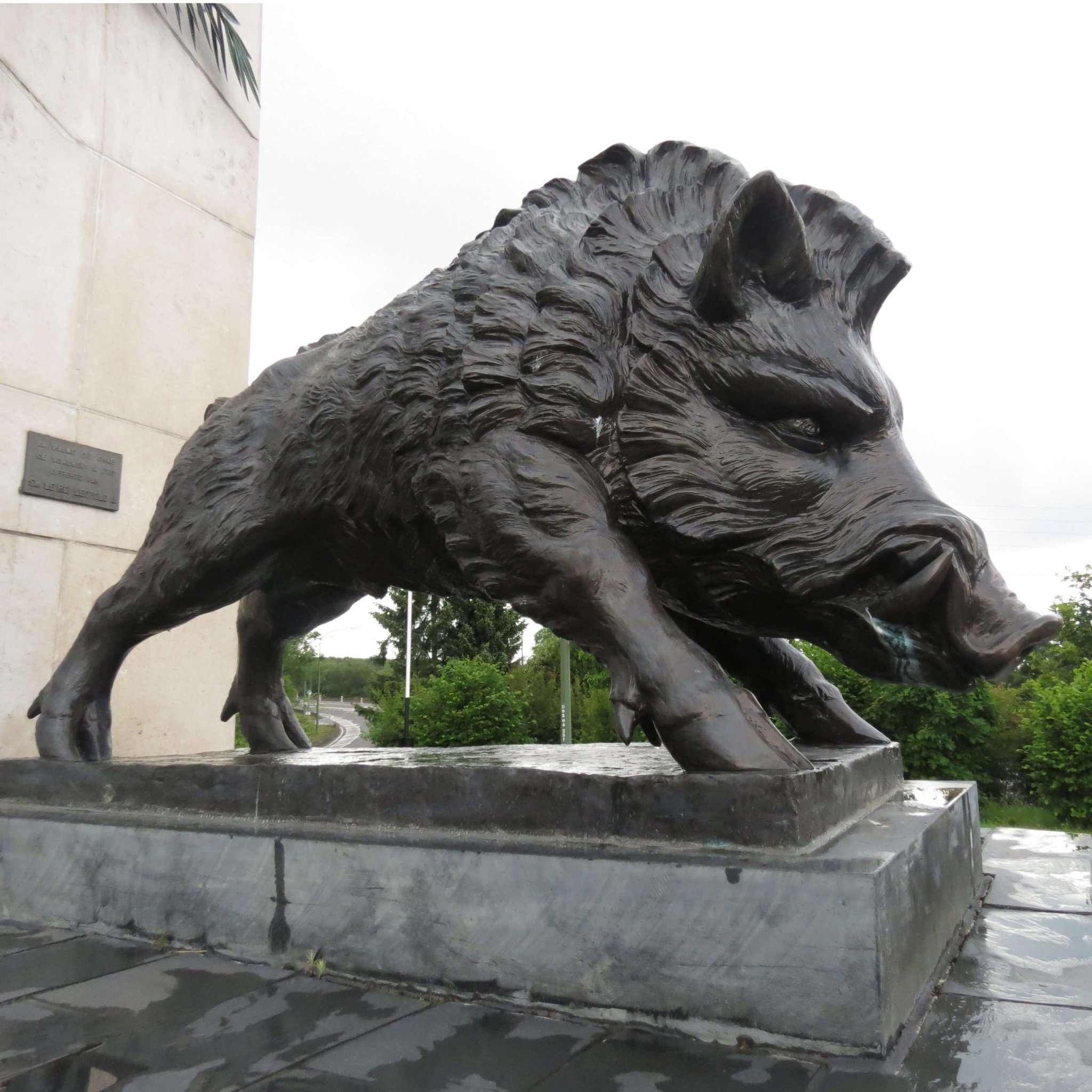 Bronze Wild Boar Statue For Sale - SevenTreeSculpture